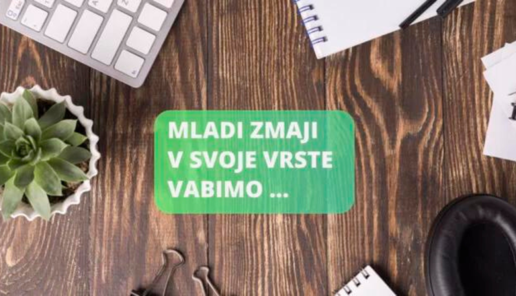 Mladi zmaji razpisujejo delovno mesto: Vodja glavne pisarne | Mlad.si